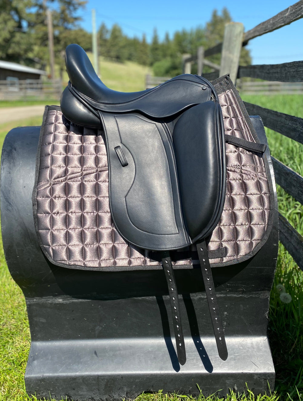 Used Saddle's Canada - Shipping Available