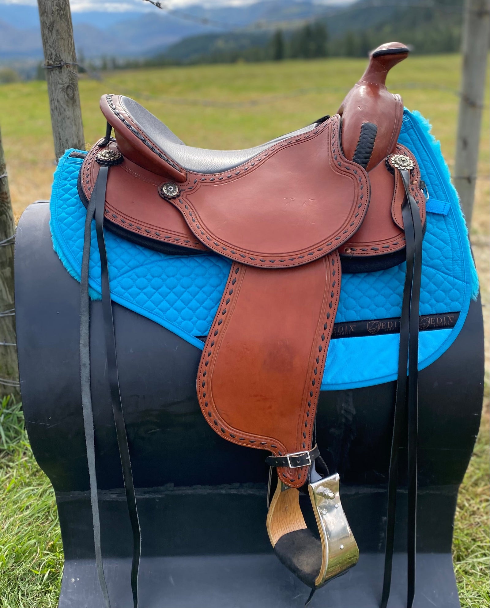 Used Saddle's Canada - Shipping Available